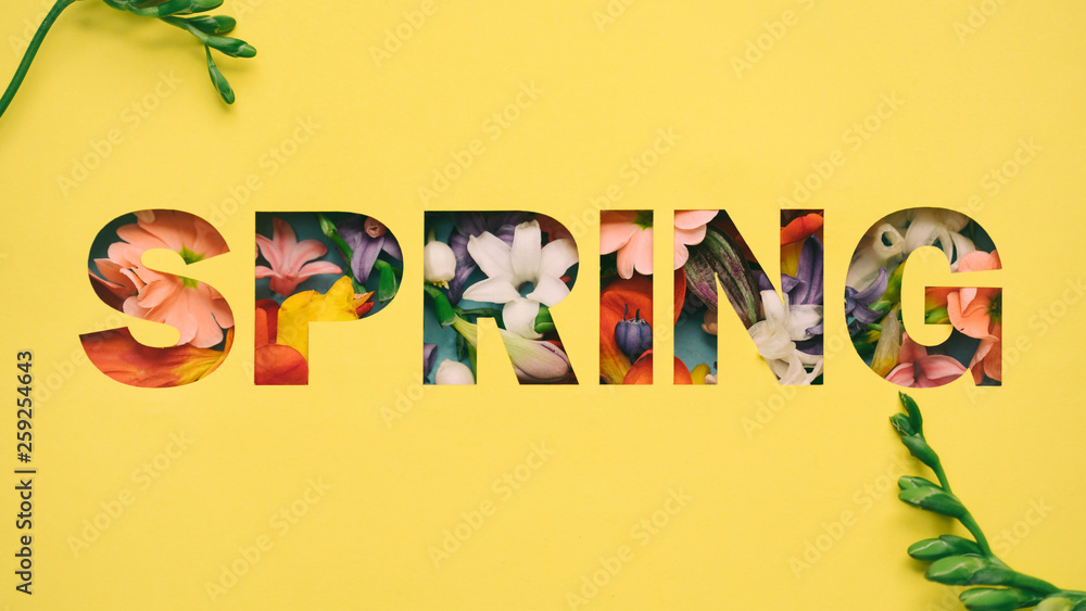 Flower Decoration with word ""spring"" Stock Photo | Adobe Stock