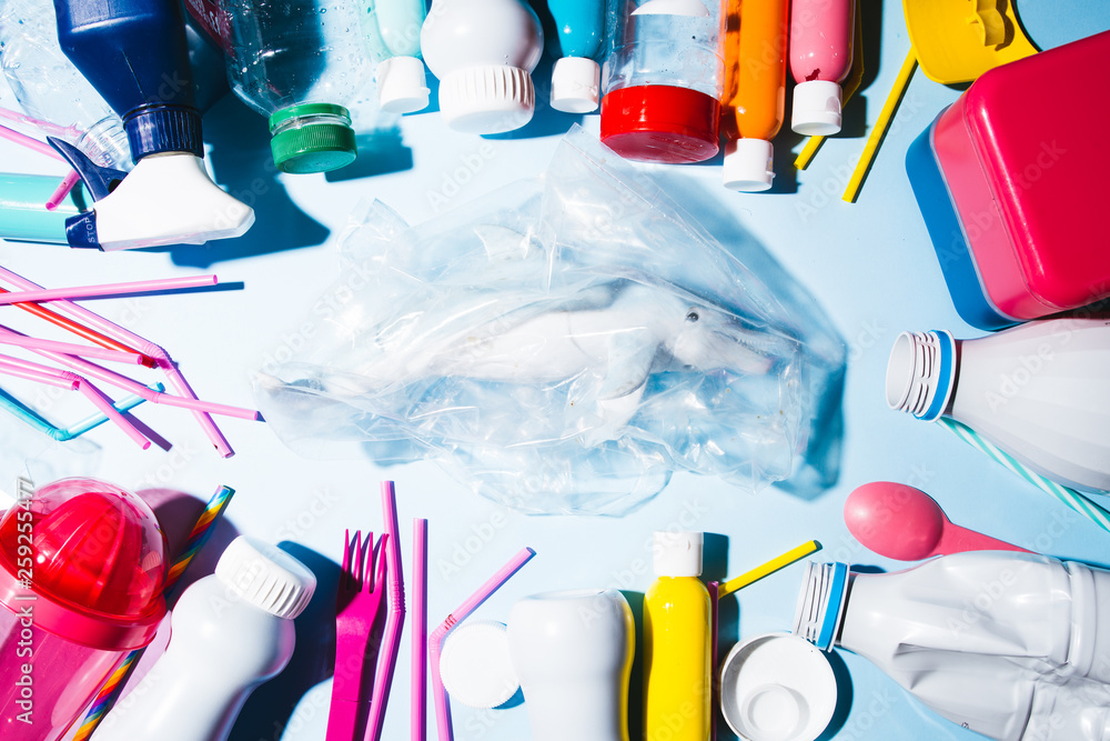 Dolphin inside a plastic bag is circled by different container of ...