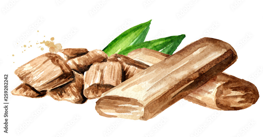 Sandalwood or Chandan Sticks and powder with green leaves. Watercolor ...