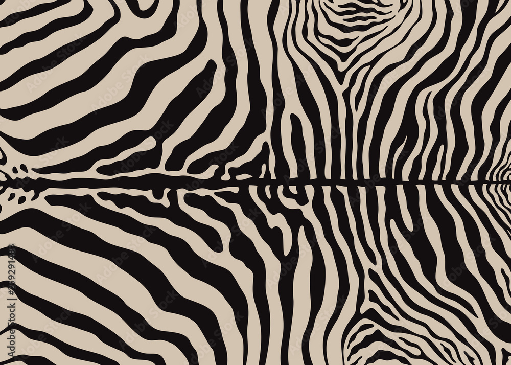 Zebra pattern design. Zebra print vector illustration background ...