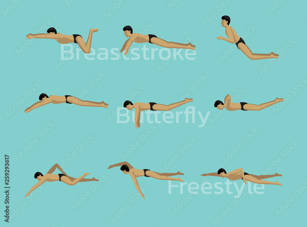 Swimming Type Poses Animation Motion Sequence Cartoon Vector