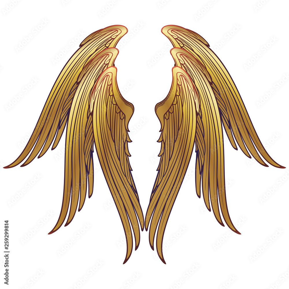 6 winged seraphim wings template Stock Vector | Adobe Stock