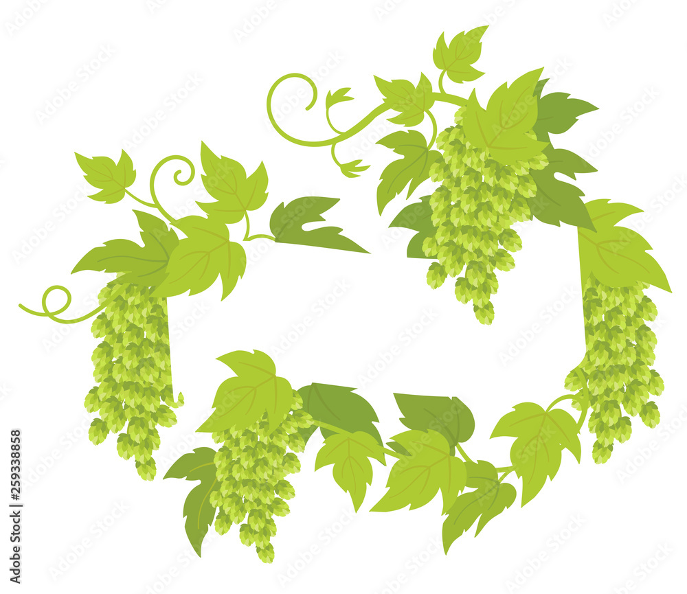 Hop plant frame circle label. Round border frame decor. Copy space for ...