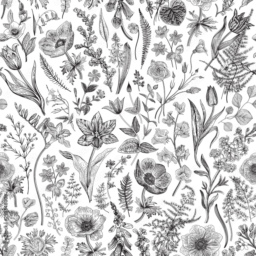 Spring magic. Seamless floral pattern. Black and white. Vector vintage ...
