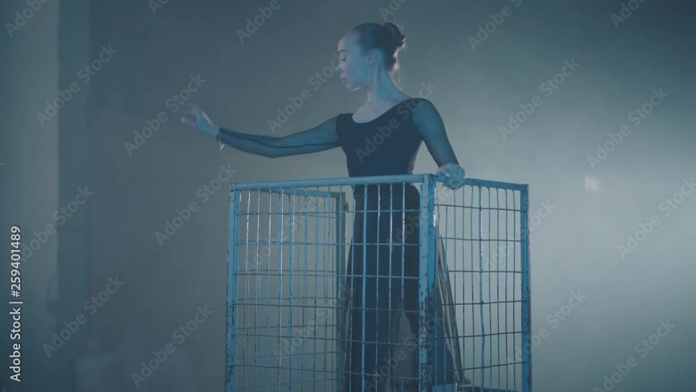 The figure of professional ballerina dancing in black dress in the ...