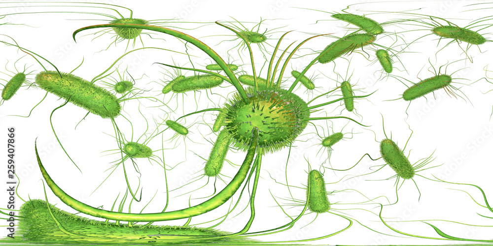 360-degree spherical panorama of Salmonella bacteria. S. typhi, S ...