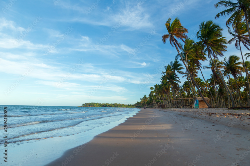 Praia da Cueira, Ilha de Boipeba Stock Photo | Adobe Stock