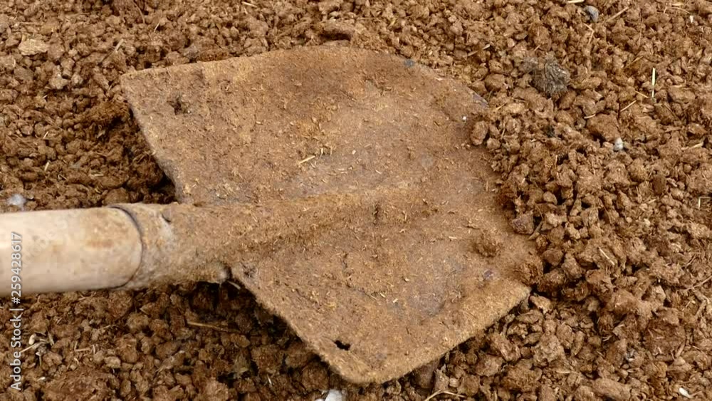 cow manure, organic animal manure, natural soil manure, Stock Video ...