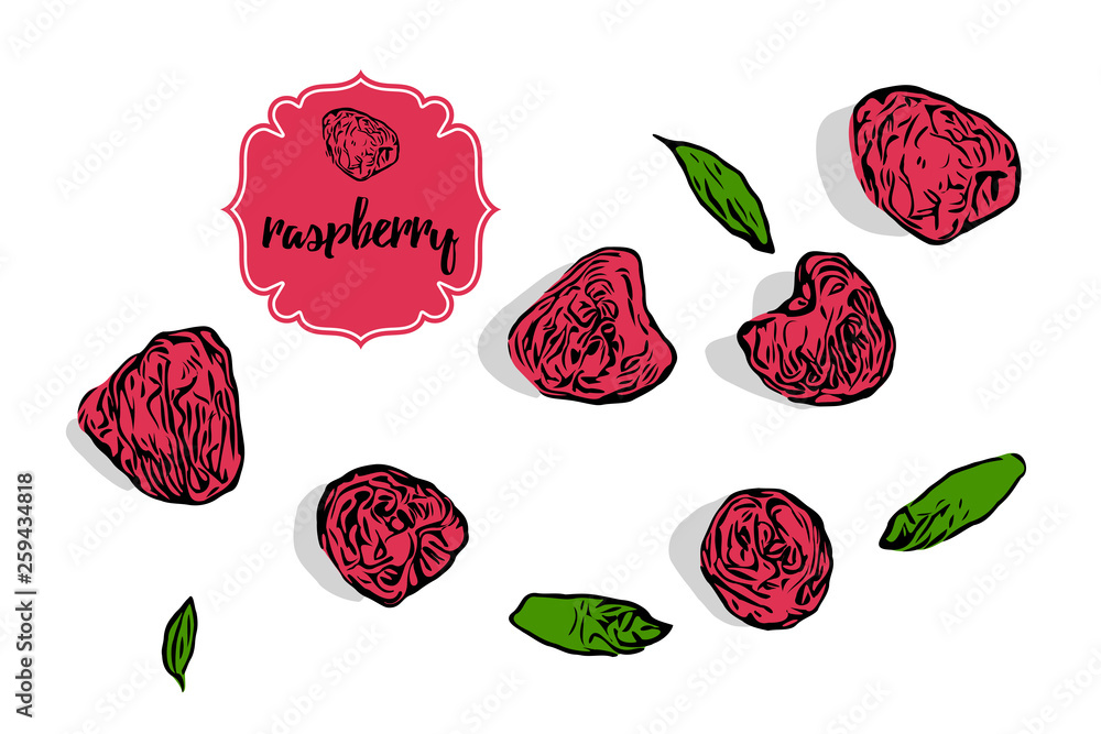 cartoon hand drawn raspberries with green leaves isolated on white ...
