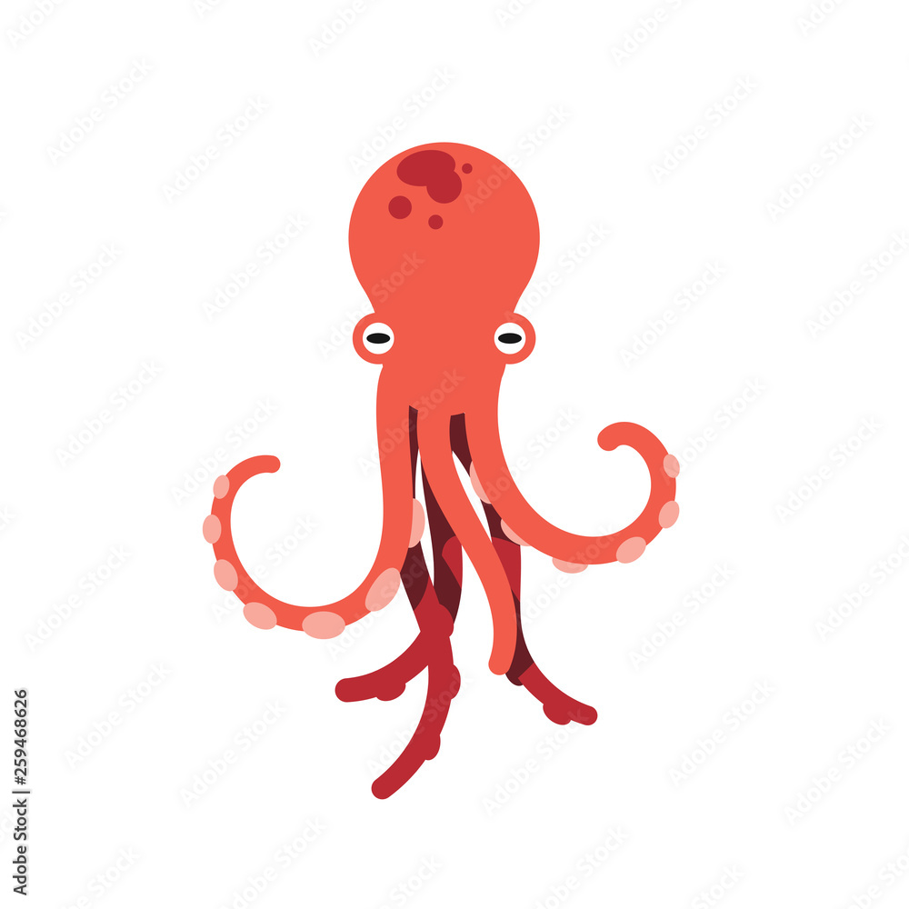 Red octopus isolated illustration on white background. Cute octopus ...
