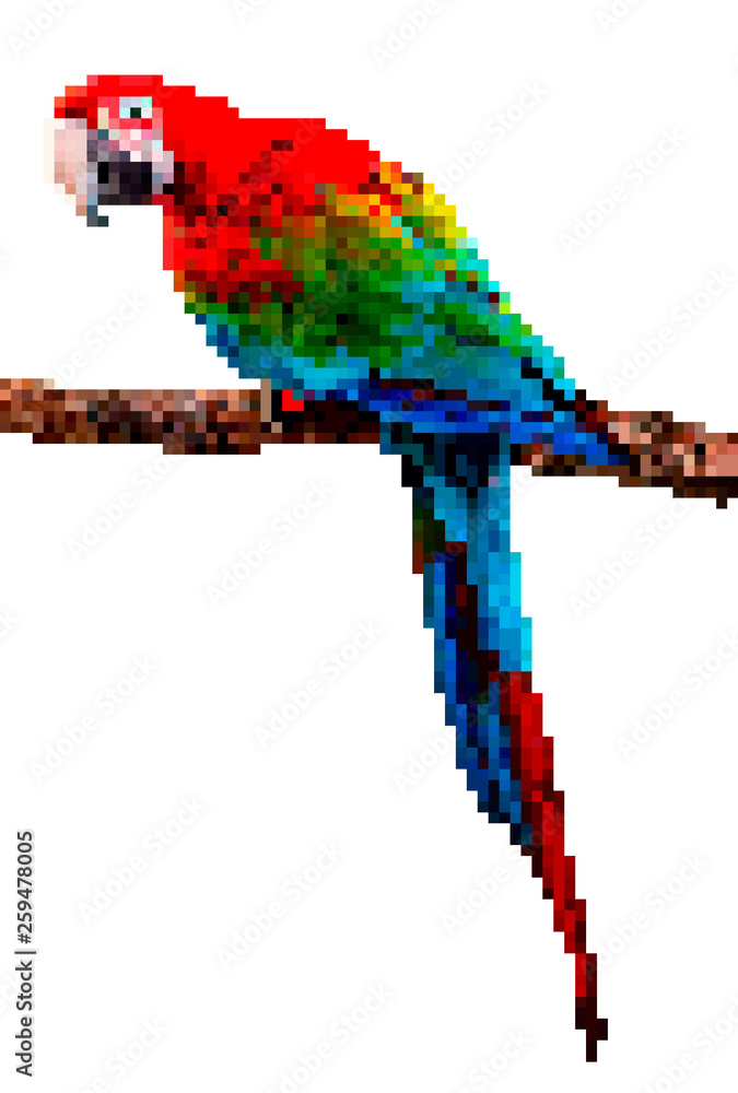 Bird pixel art. Parrot pixel illustration isolated on white background ...