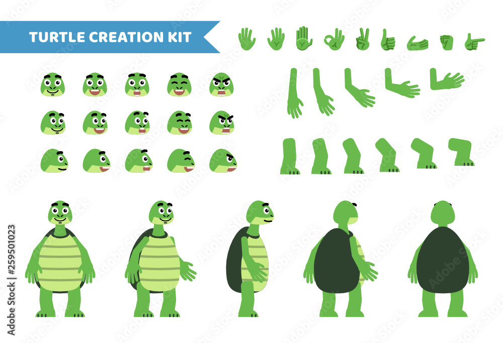 Cartoon turtle creation set. Various gestures, emotions, diverse poses ...