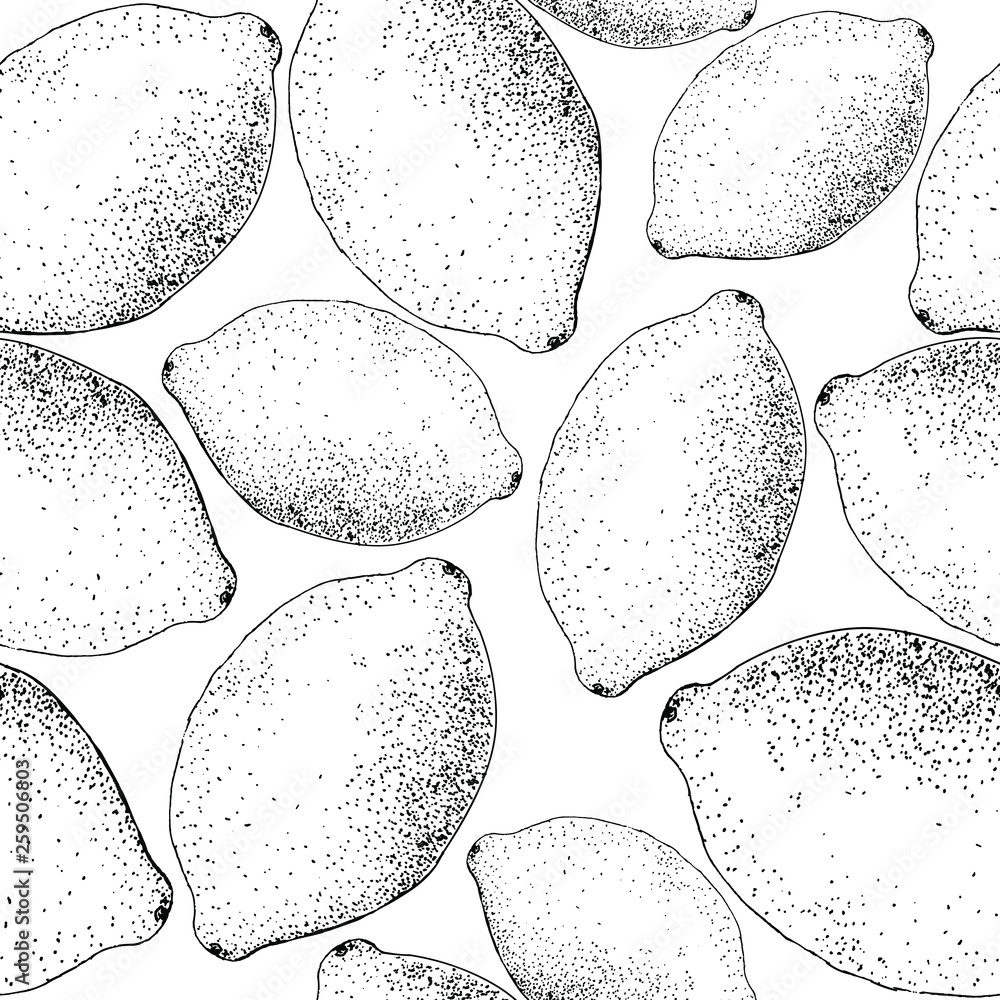 Lemon sketch pattern. Hand painted lemons, seamless pattern on a ...