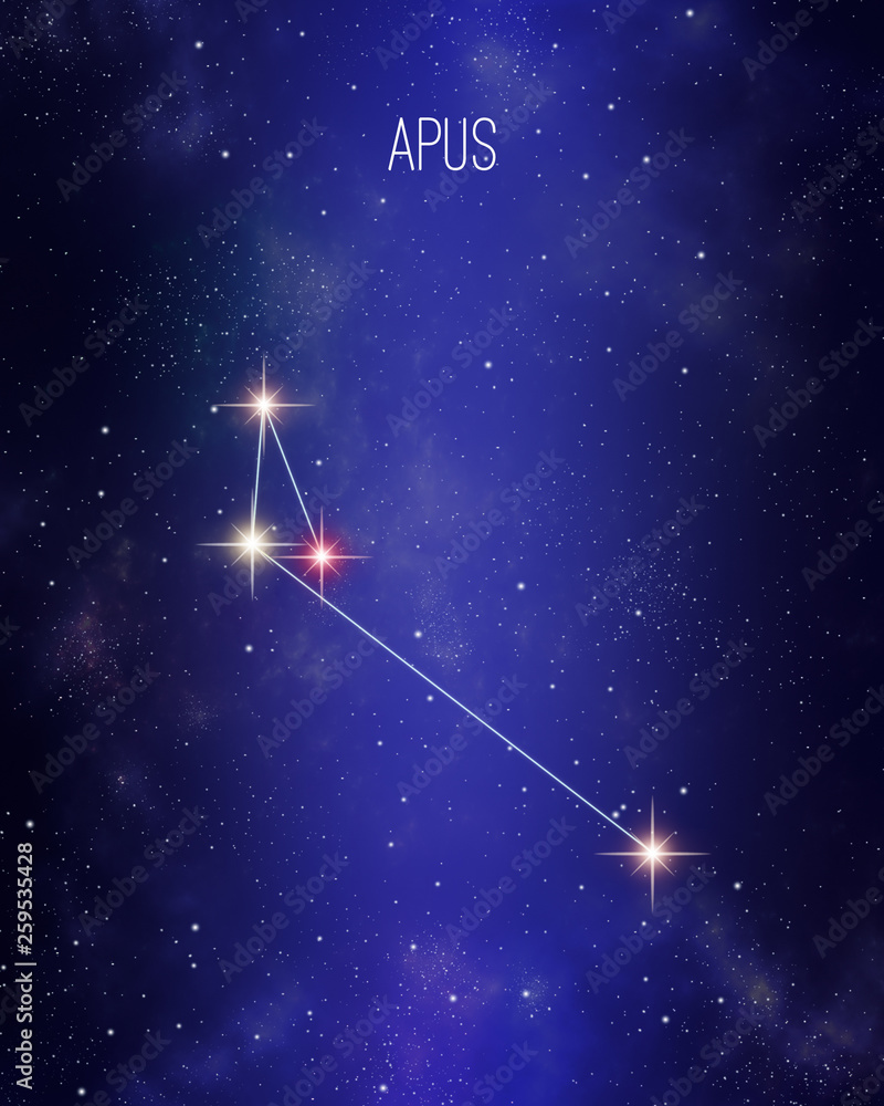 Apus the bird of paradise constellation on a starry space background ...