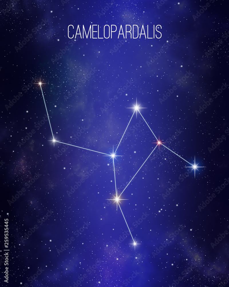 Camelopardalis the giraffe constellation on a starry space background. Stars relative sizes and ...