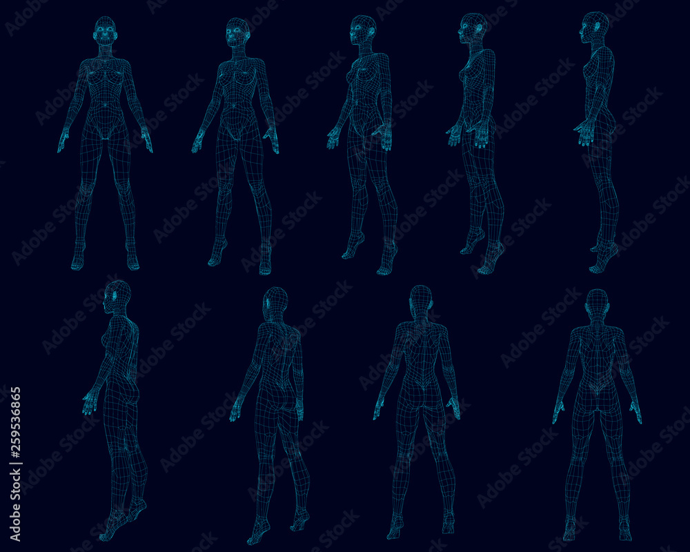Set with a girl body wireframe from different sides. Polygonal girl ...