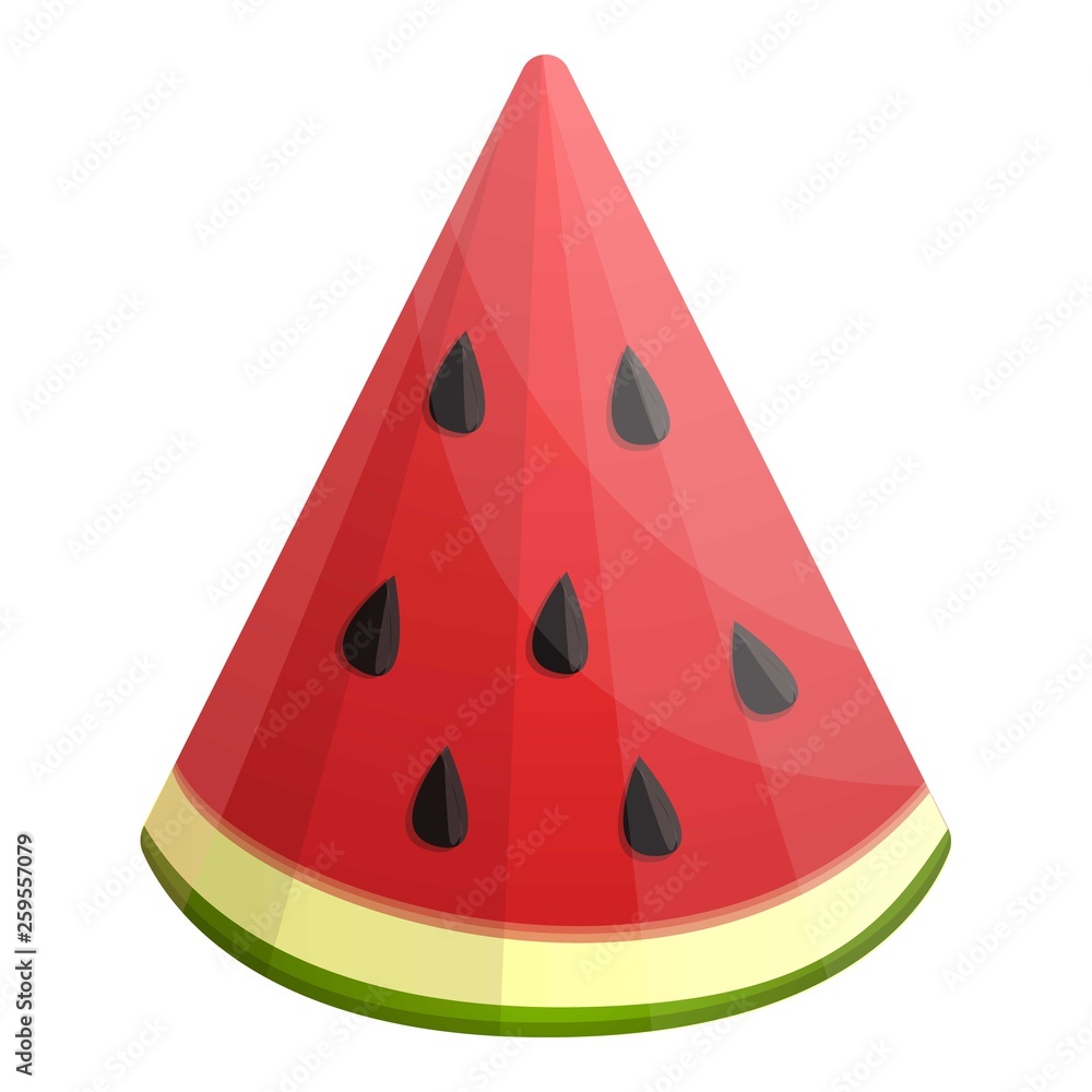 Watermelon Slice Vector