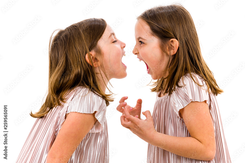 Identical twin girls sisters are arguing yelling at each other. Stock ...