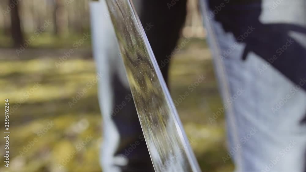 A formidable warrior stands in the middle of the forest and looks at ...