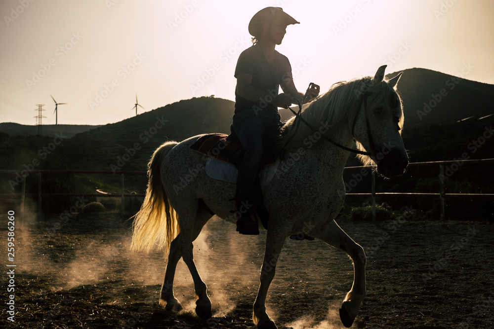 Young man feel the freedom riding a white horse in the sunset in ...