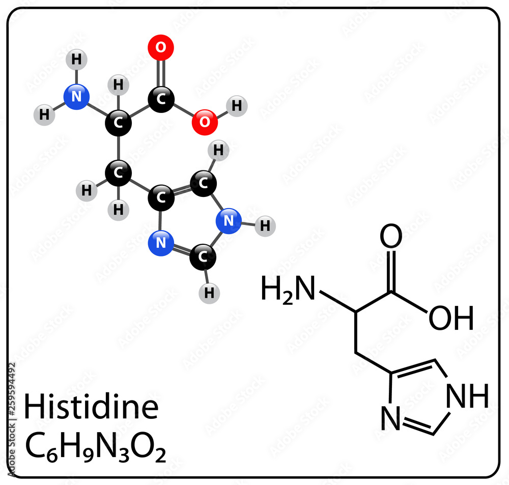 Histidine Molecule Structure Stock Vector | Adobe Stock