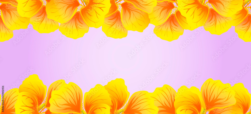 Pretty Horizontal Design