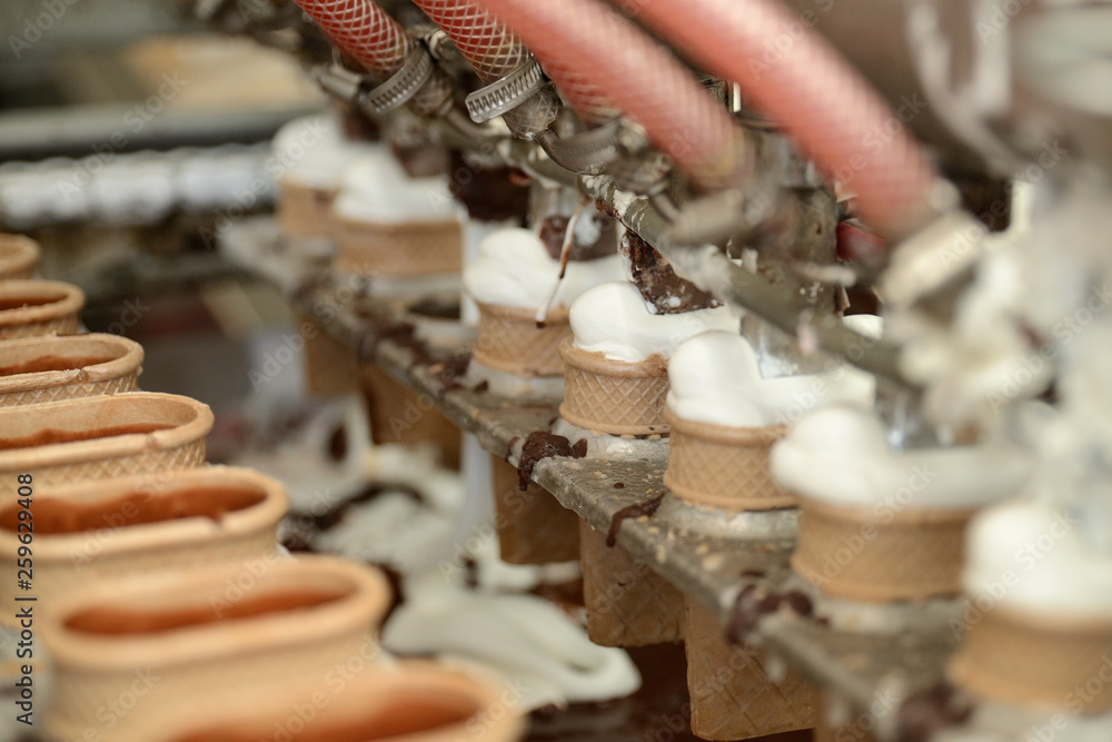 The conveyor automatic lines for the production of ice cream ...