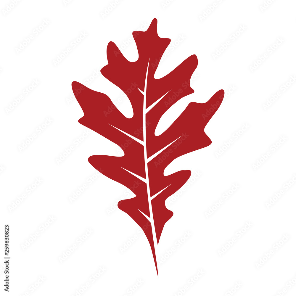 red Oak leaf vector logo isolated. Logo templates. Stock Vector | Adobe ...
