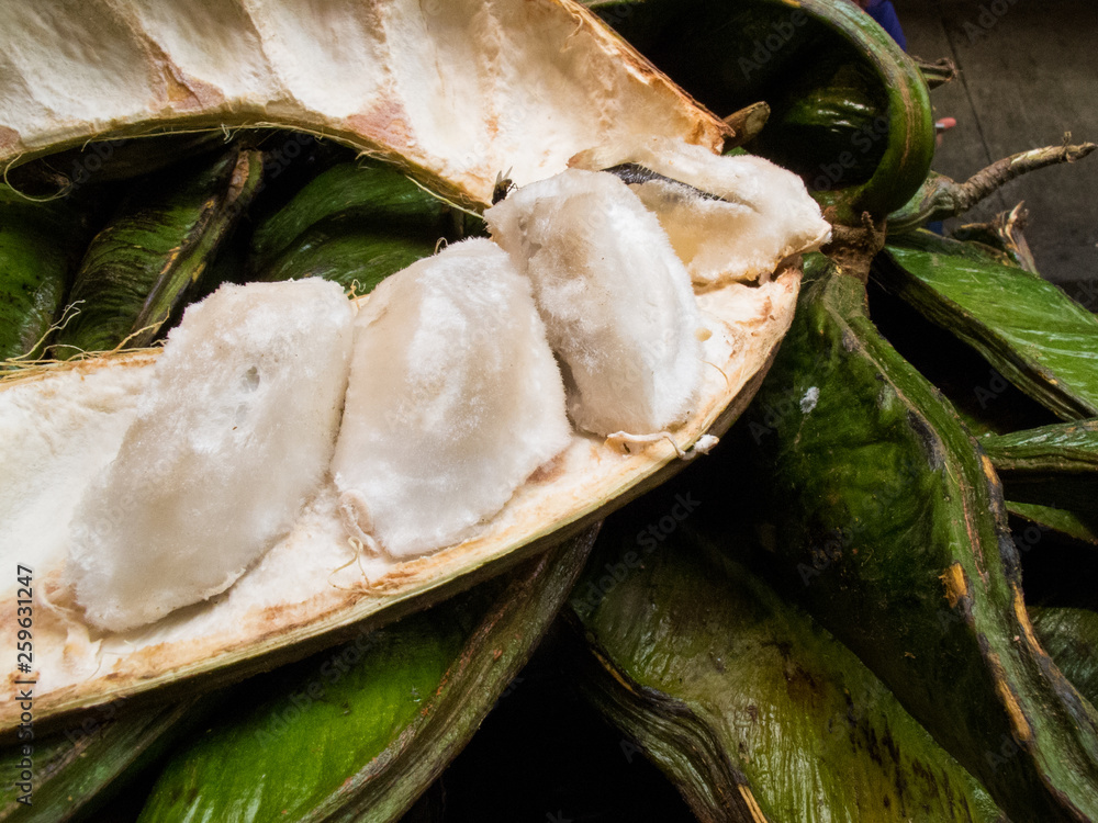 Exotic tropical fruit called guama (Inga Edulis) Stock Photo | Adobe Stock