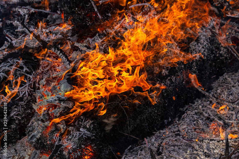 Flaming fire. Burning tree branches. Pagan rite dedicated to the ...