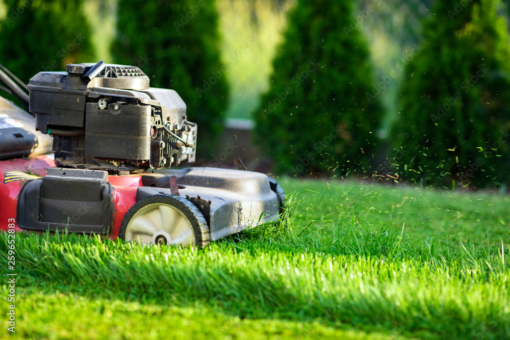 Lawn mower cutting green grass Stock Photo | Adobe Stock