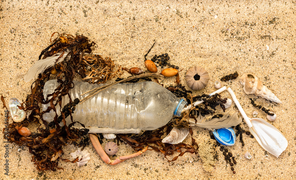Real Plastic Beach