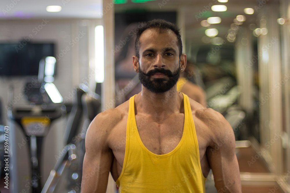 gym, fitness, muscular, portrait, people, young, body, person, handsome ...