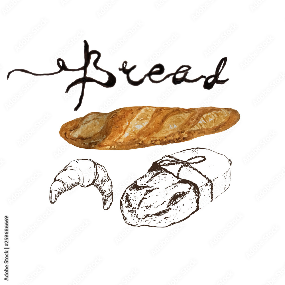 Bread, bakery product watercolor and pen sketch drawing with lettering ...