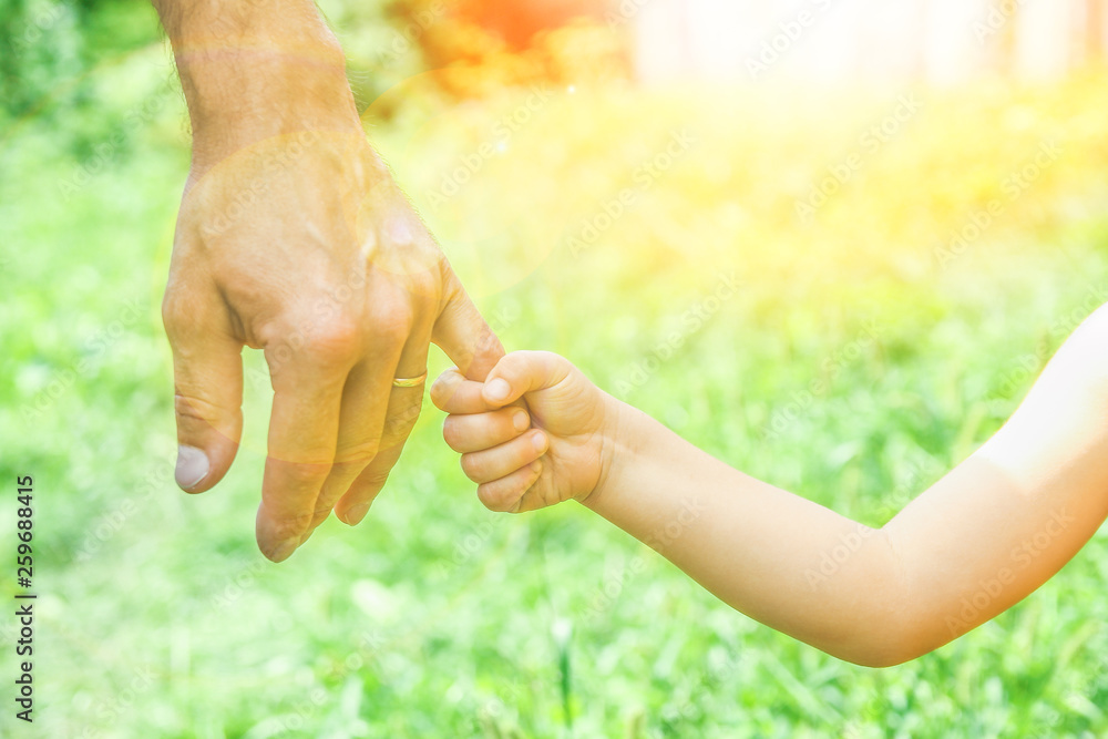 beautiful hands of a child and a parent in a park in nature Stock Photo ...