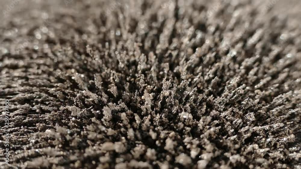 The magnetic field affects iron shavings and powder. Magnet and ...