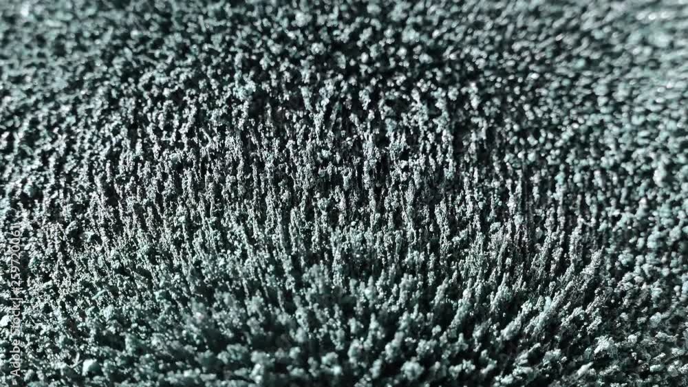 The magnetic field affects iron shavings and powder. Magnet and ...