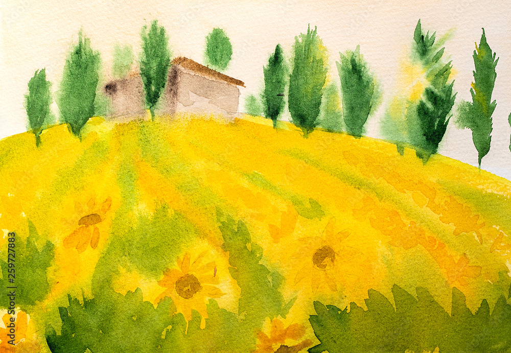 watercolor hand drawn field with sunflowers Stock Illustration | Adobe ...