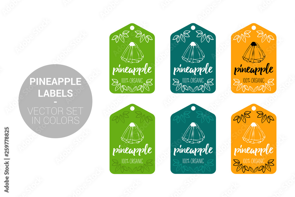 Pineapple fruit Eco labels vector set in green, dark green and orange ...