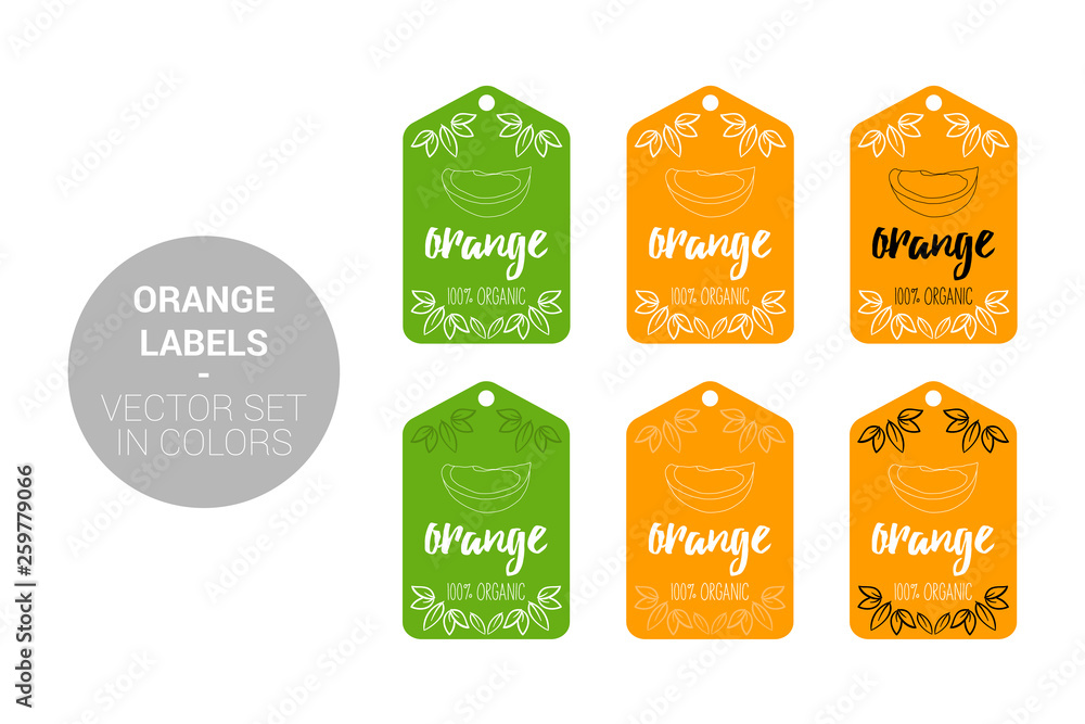 Orange fruit Eco labels vector set in green, orange colors. Cartoon ...