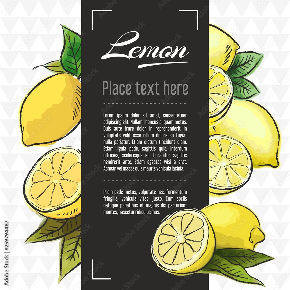 Lemon fruit vector menu design templates. Vector fruit illustration ...