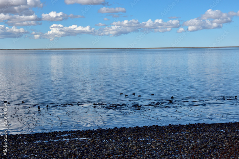 Paisaje con cielo y nubes blancas sobre el mar calmo con patos en la ...