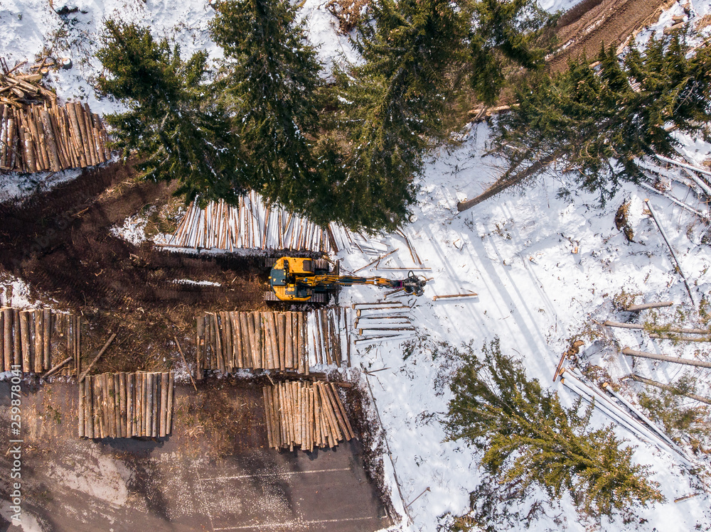Lumberjack timber with modern harvester working in forest. Top view ...