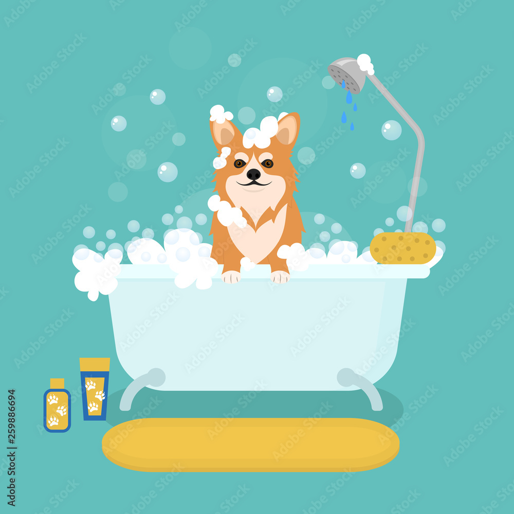 Cartoon Dog Bath