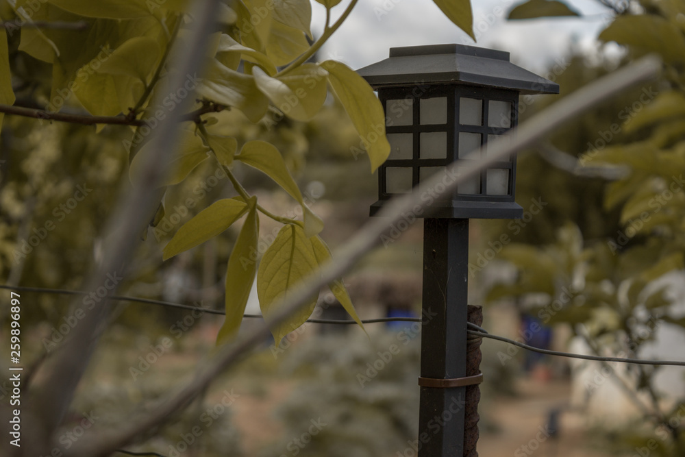 Faro de luz solar entre las ramas de un árbol en tiempo otoñal Stock ...