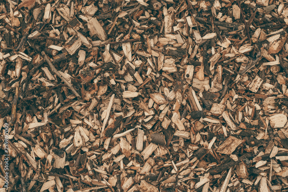 Wood waste texture. Woods backdrop. Organic timber texture background ...