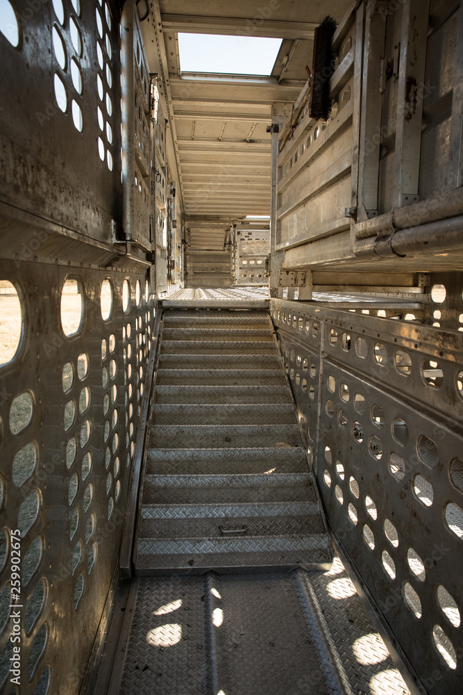 Inside Cattle Truck