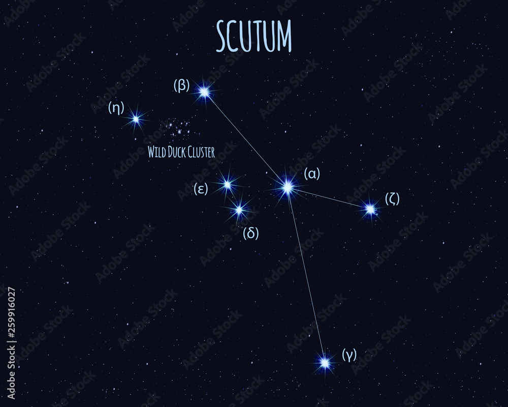 Scutum (The Shield) constellation, vector illustration with basic stars against the starry sky ...