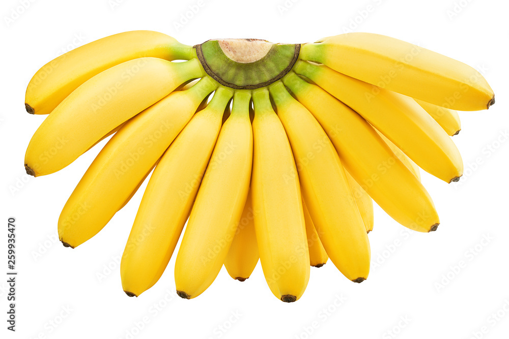 bunch of bananas isolated on white background, clipping path, full ...