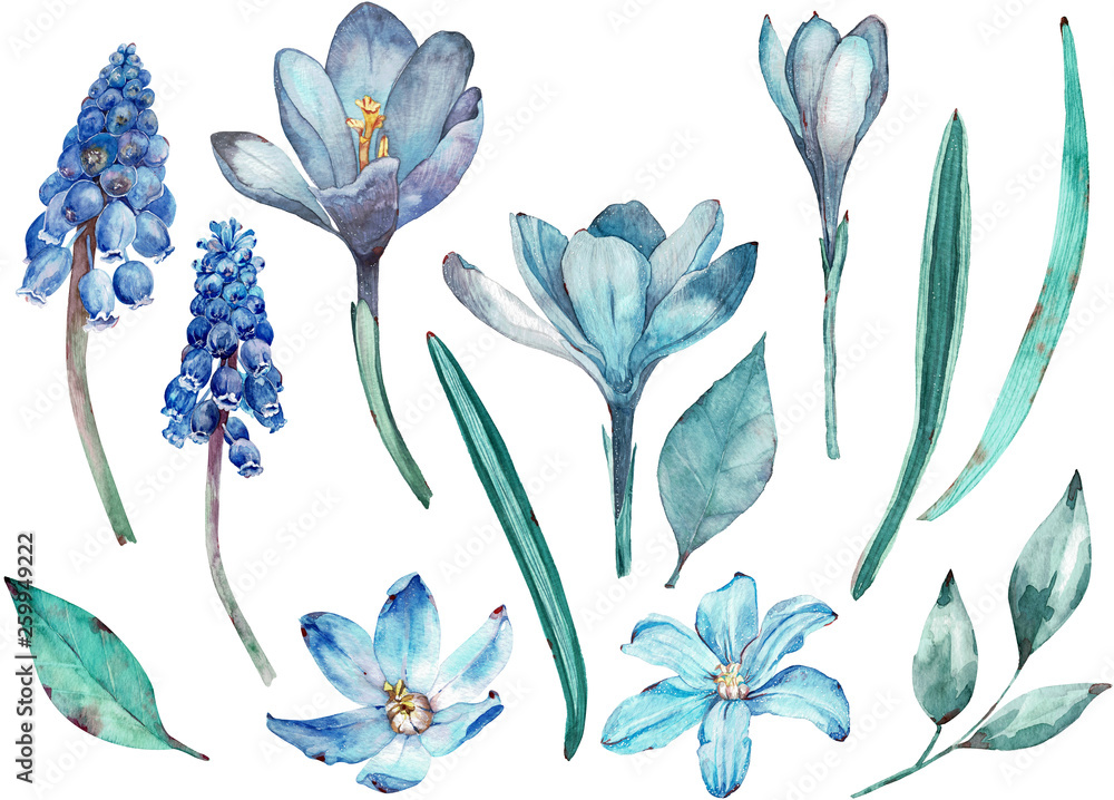 Blue spring flowers clip-art. Separate watercolor elements of flowers ...